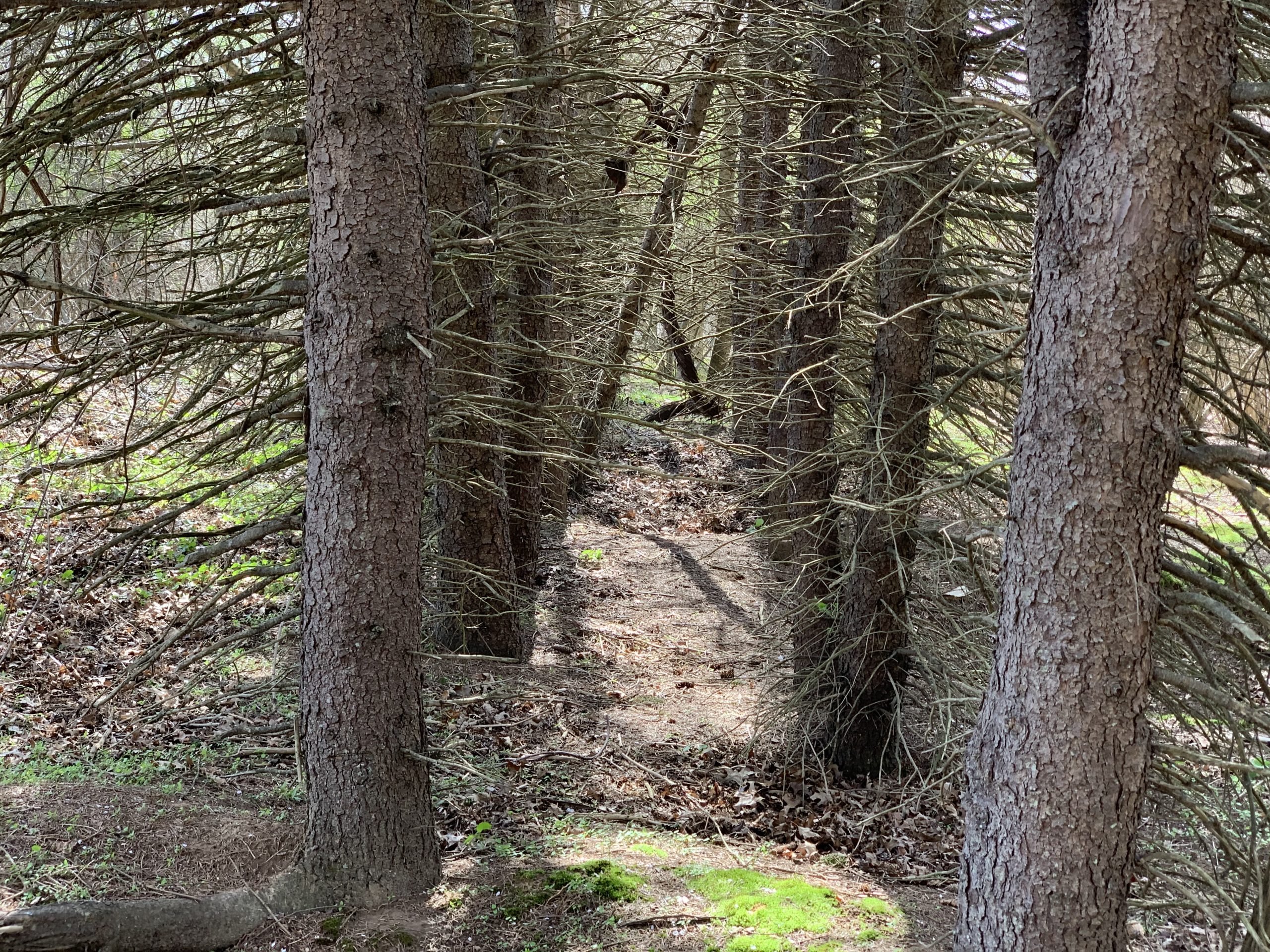 Secret Passages | footpathing