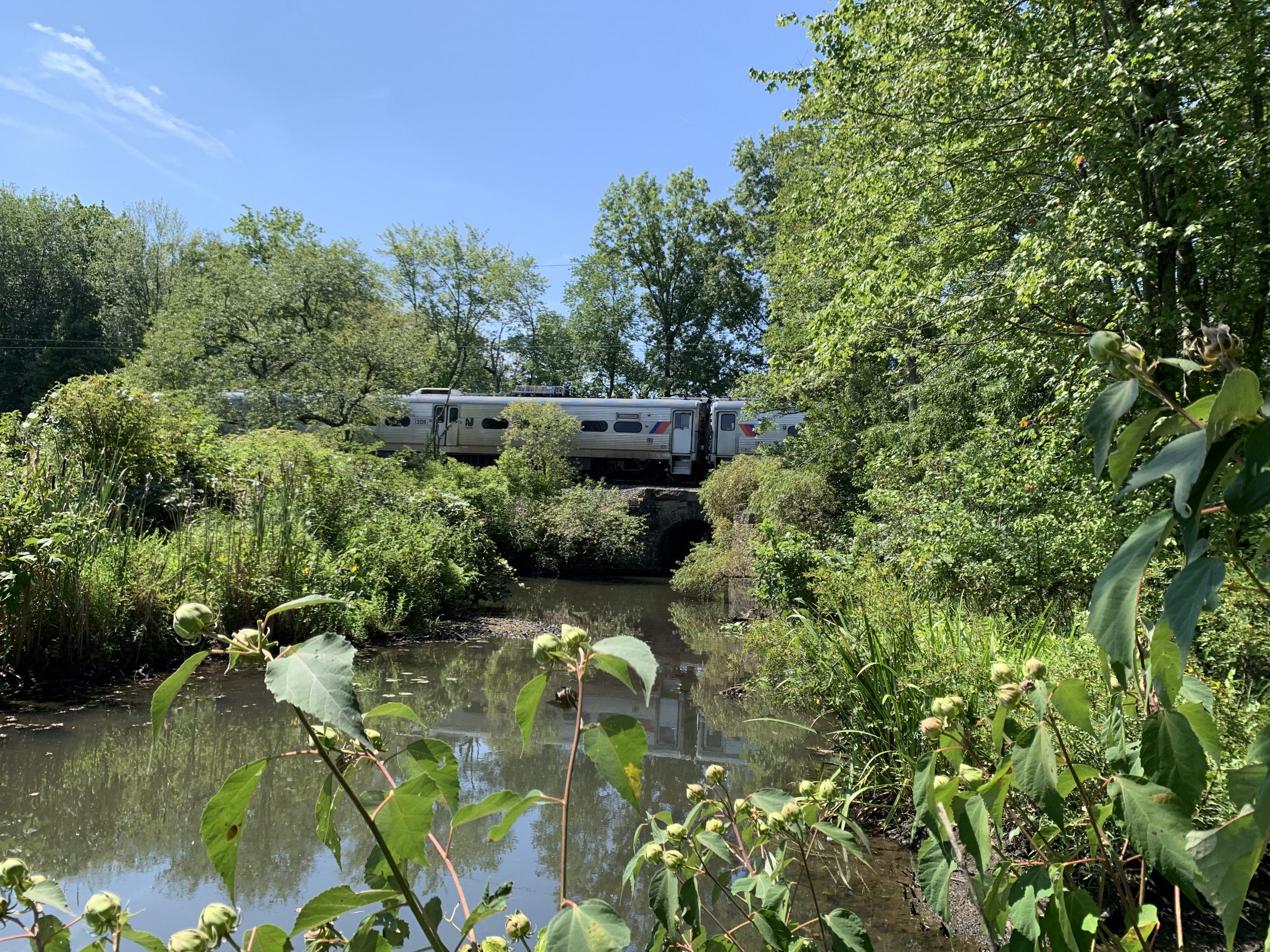 Fieldston Road Dinky Line Footpath | footpathing