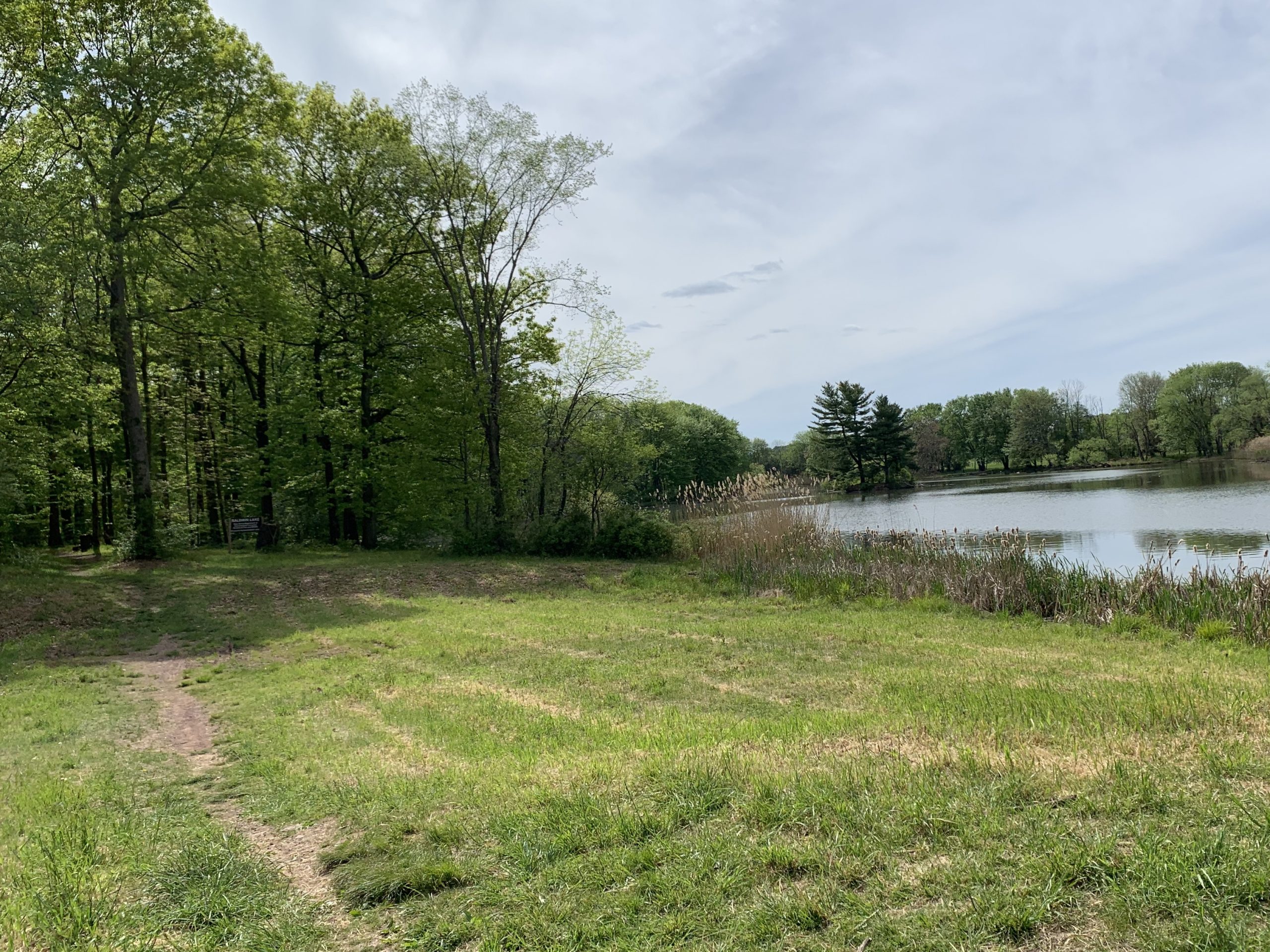 Baldwin Lake Wildlife Area | footpathing