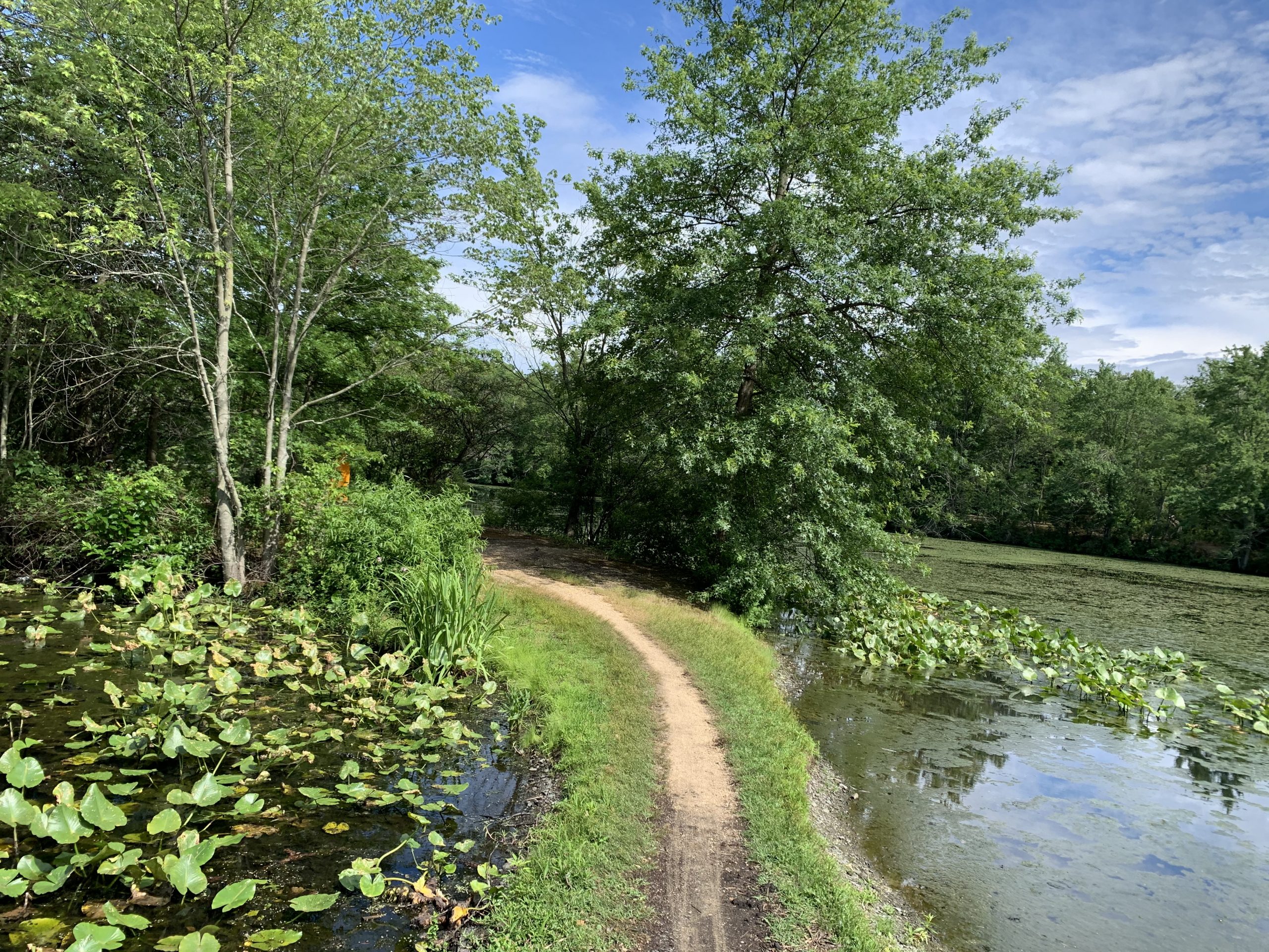 Lenape Trail | footpathing