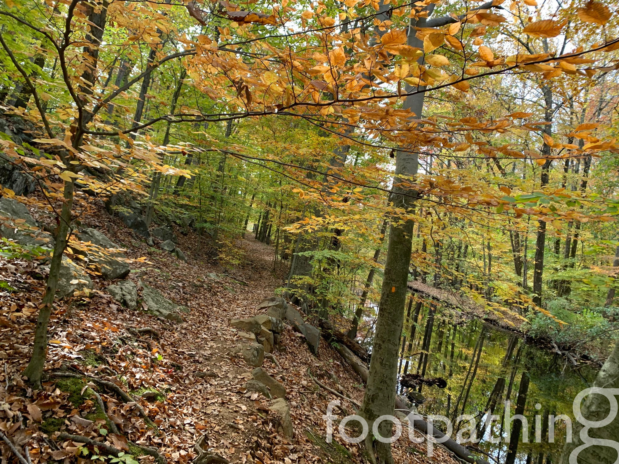 Farrington Lake (Lower Trail) | footpathing