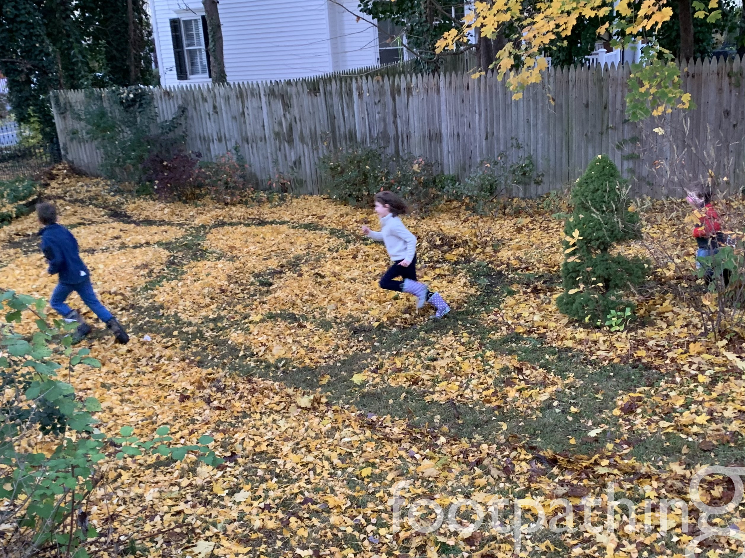 Leaf Maze | footpathing