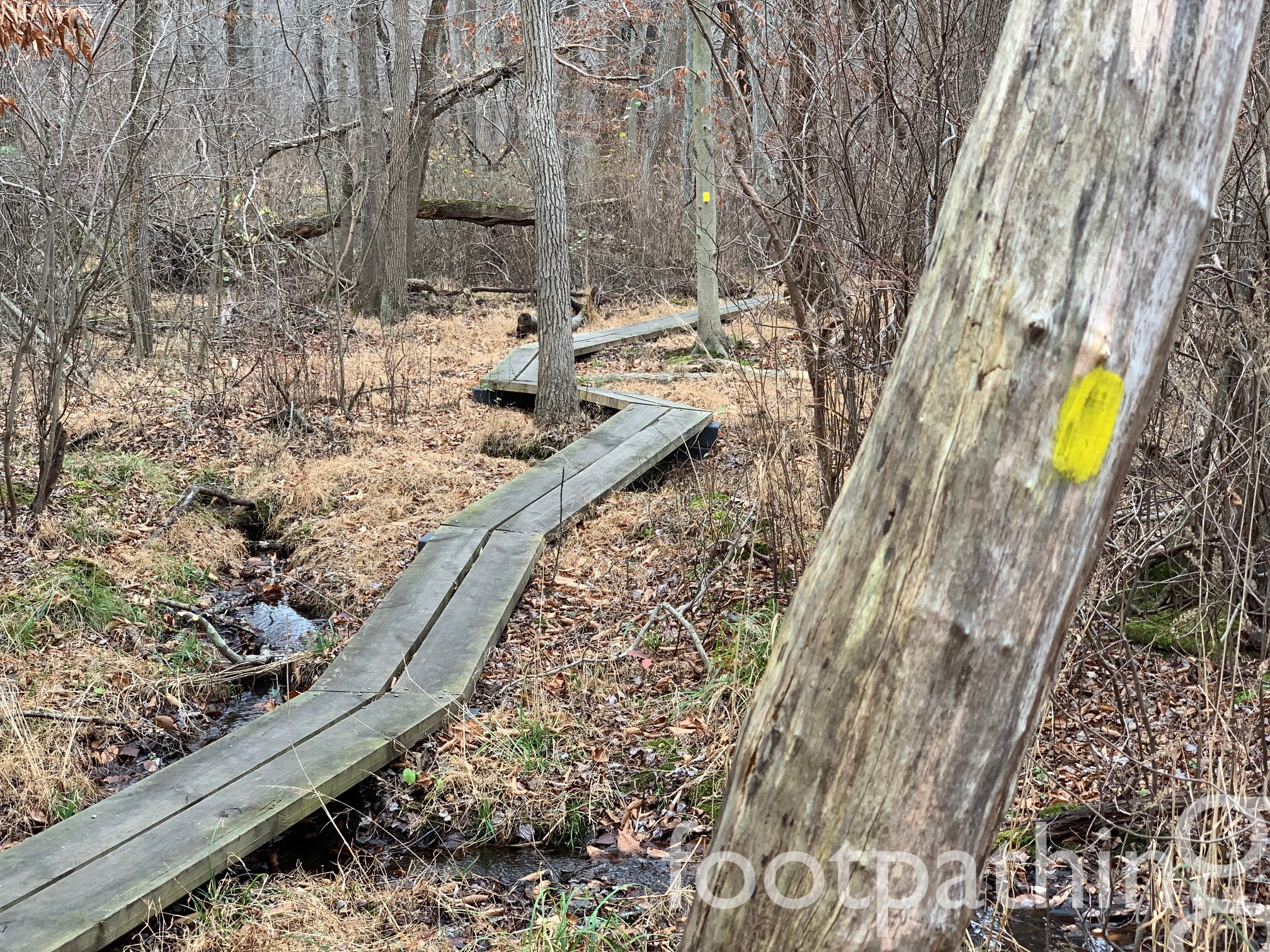 Ireland Brook Conservation Area Trail | footpathing