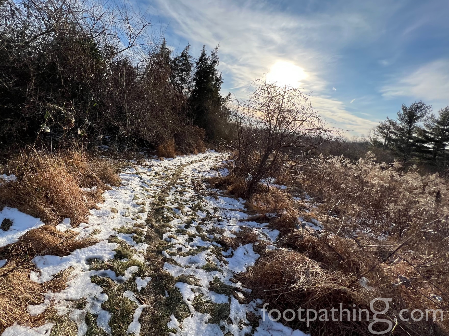 Mount Rose Preserve | footpathing