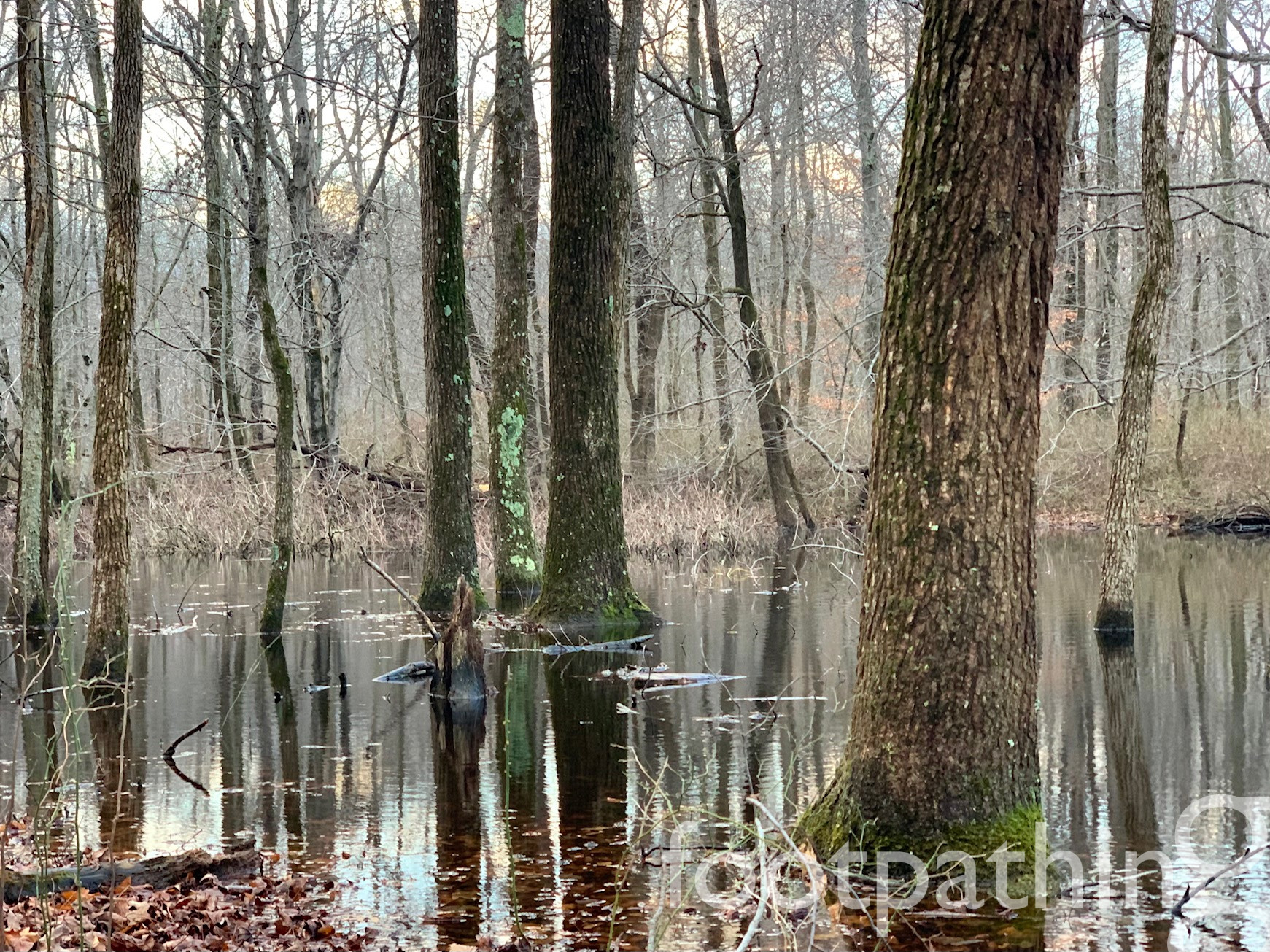 Van Dyke Farm Trail | footpathing