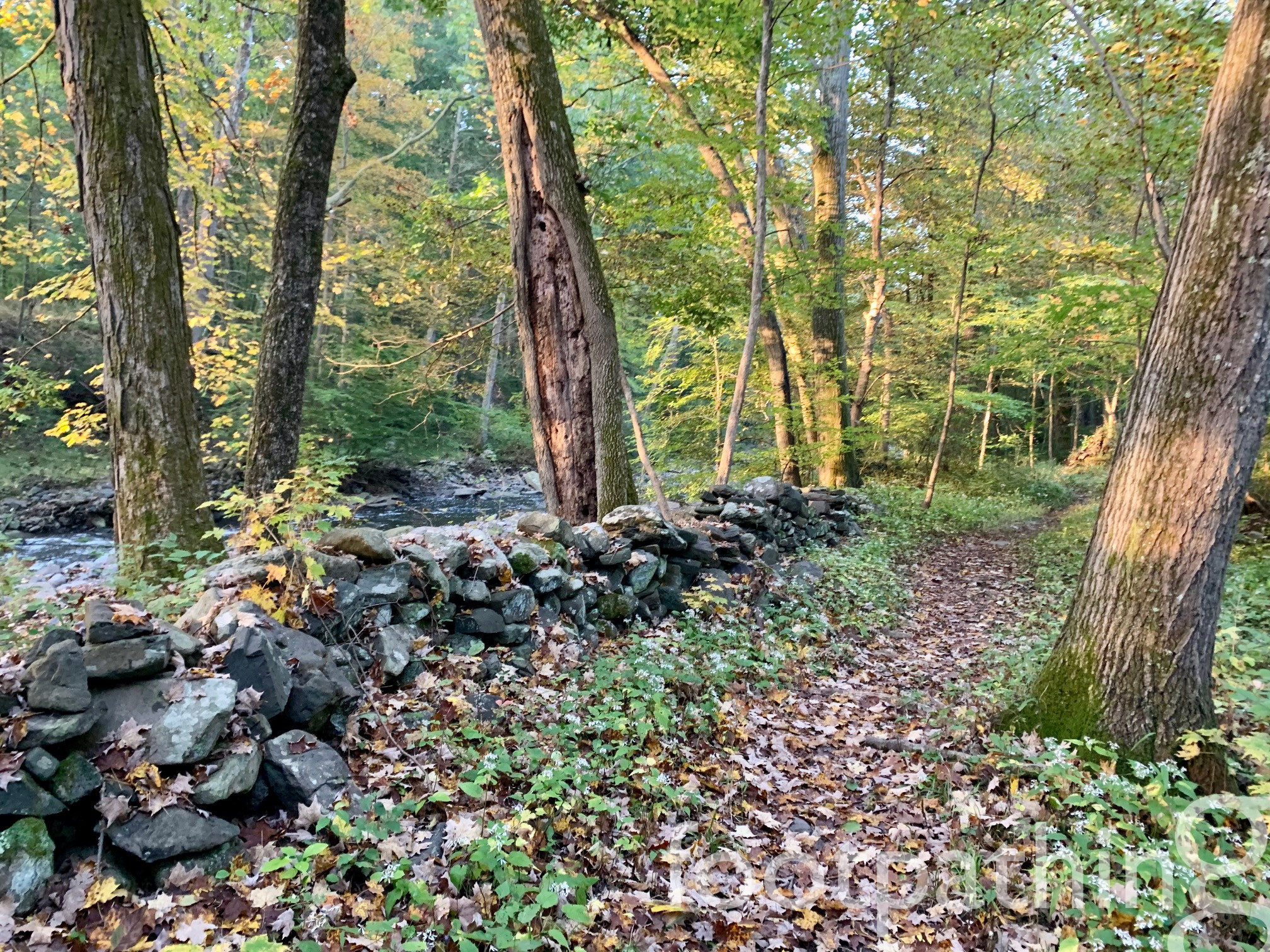 Zega-Lockatong Preserve Trail | footpathing