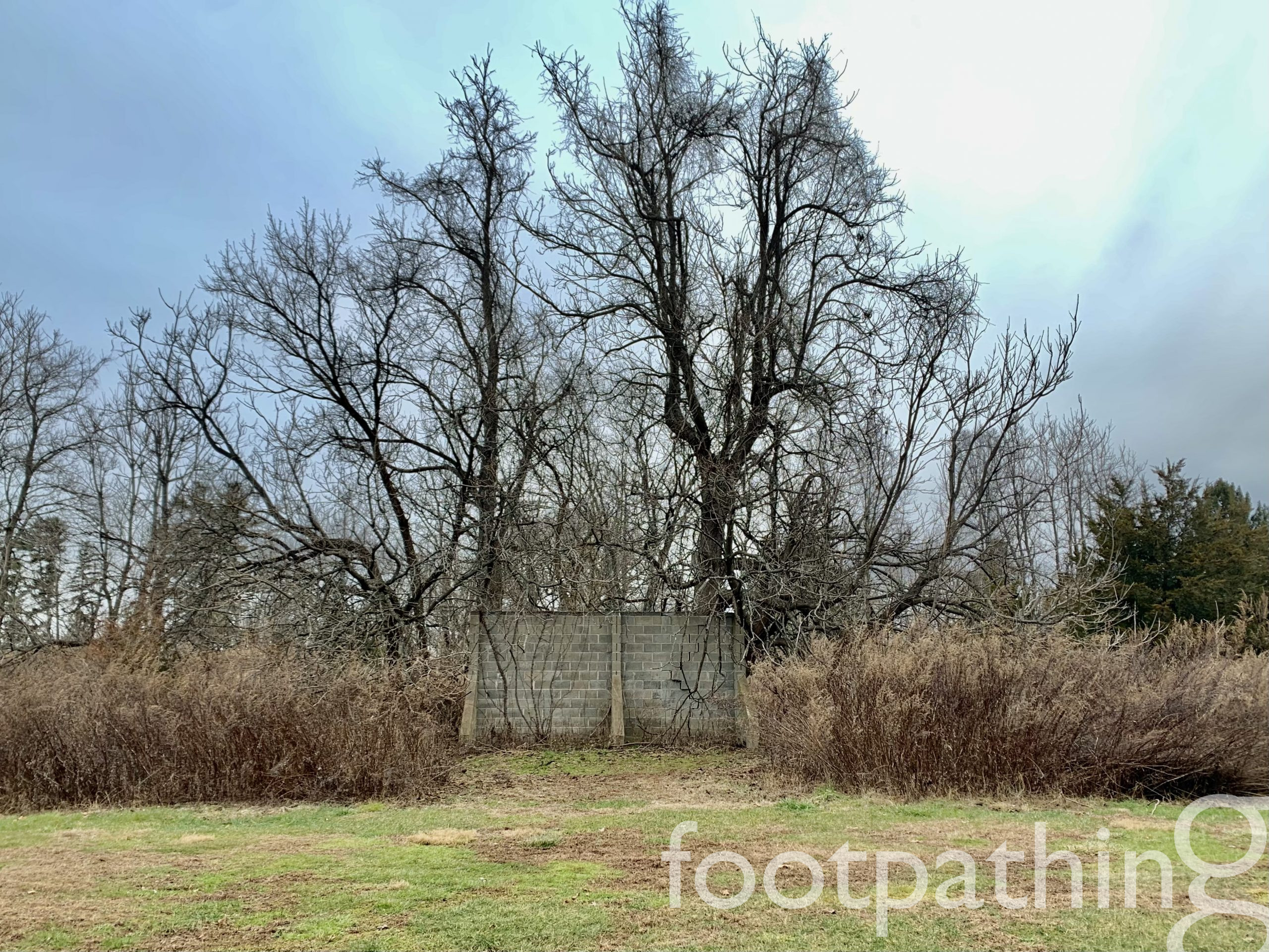 Skillman Park Trail | footpathing