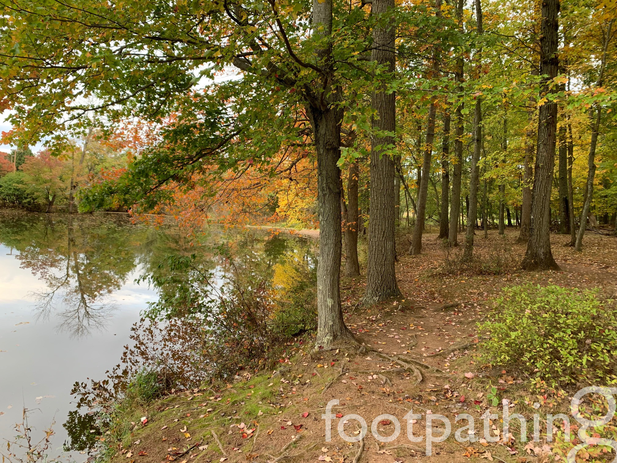 Lois Howe Nature Trail | footpathing
